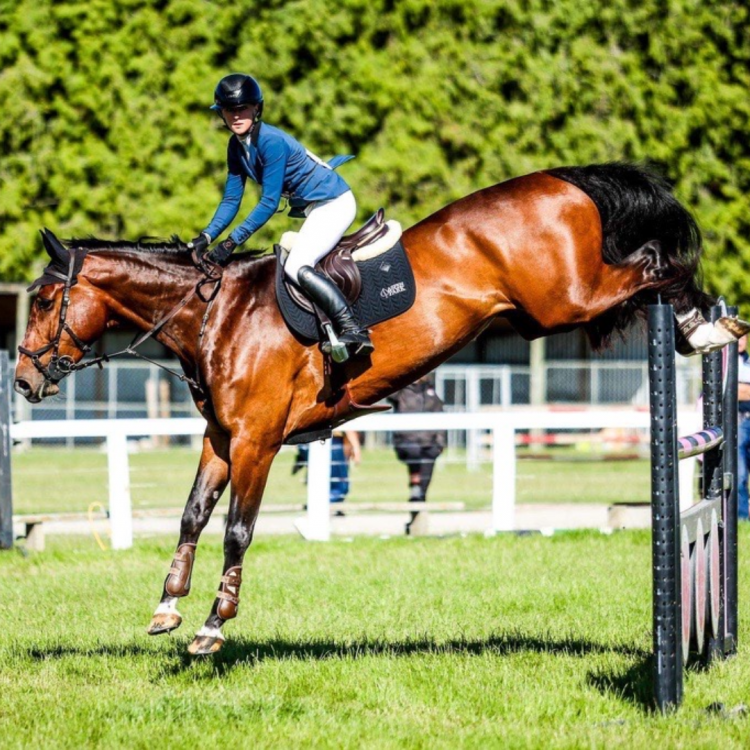 Fiber Fresh Horse Feeds