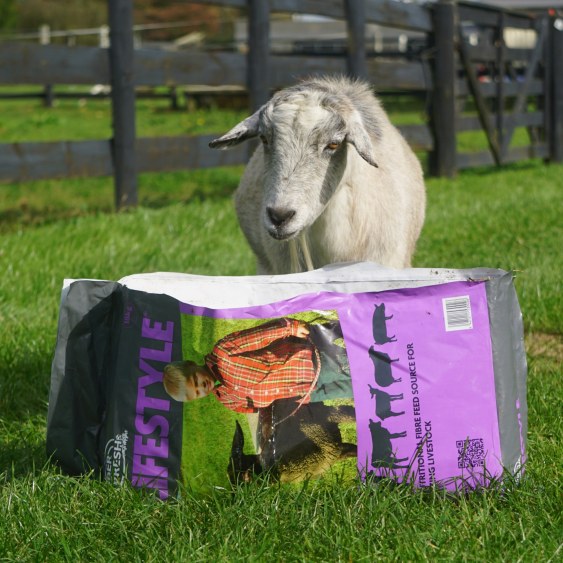 Fiber Fresh Horse Feeds