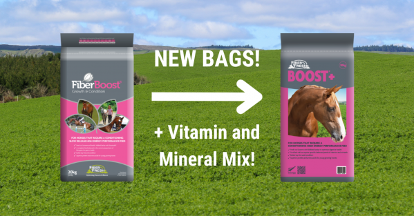 Fiber Boost has had an upgrade to Boost+! | News | Fiber Fresh