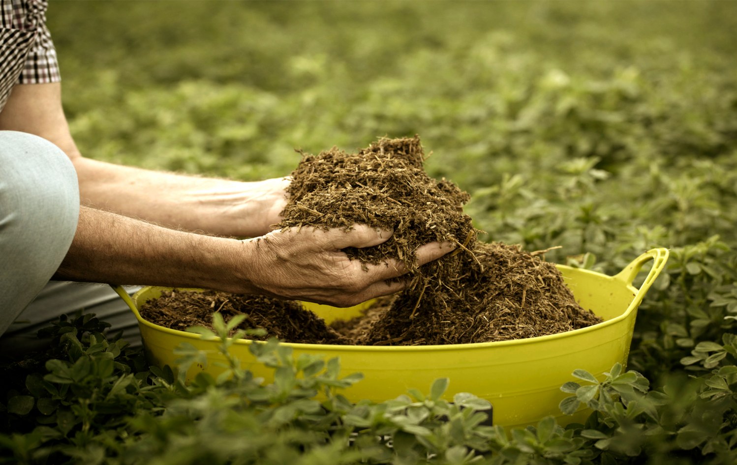 Calf Feed Requirement Calculator | Fiber Fresh