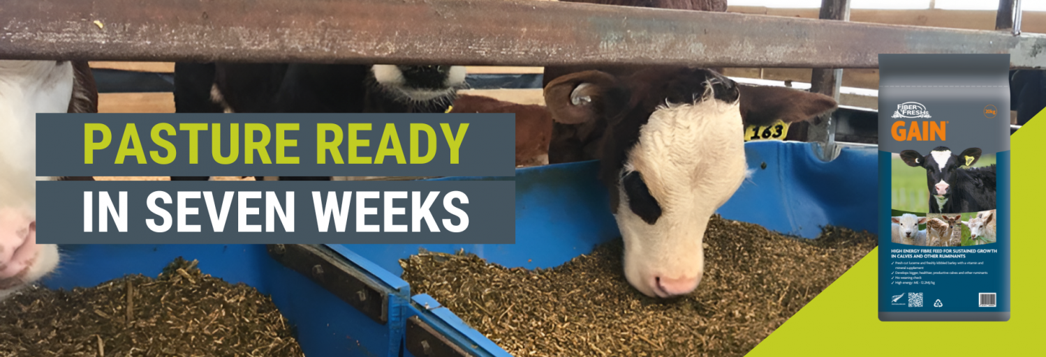 Fiber Gain | Calf Feed | Products | Fiber Fresh