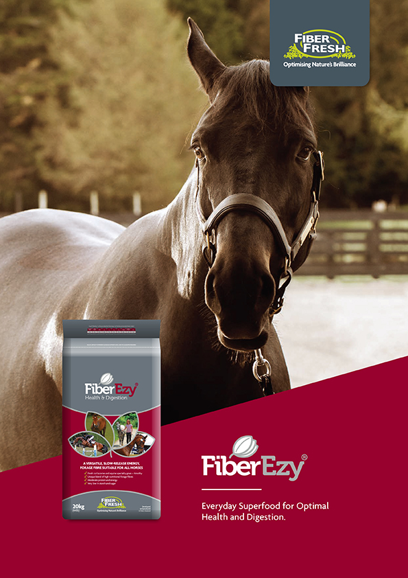 Fiber Ezy | Products - Fiber Fresh